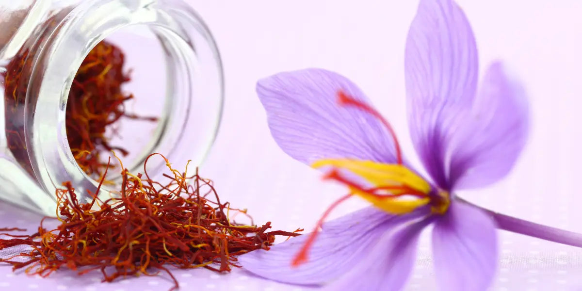 Safran en Gélules : Bienfaits pour l'humeur, digestion et poids – Naturveda