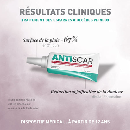 Anatomie des méninges : Enveloppe et protection du cerveau – NATURVEDA ...